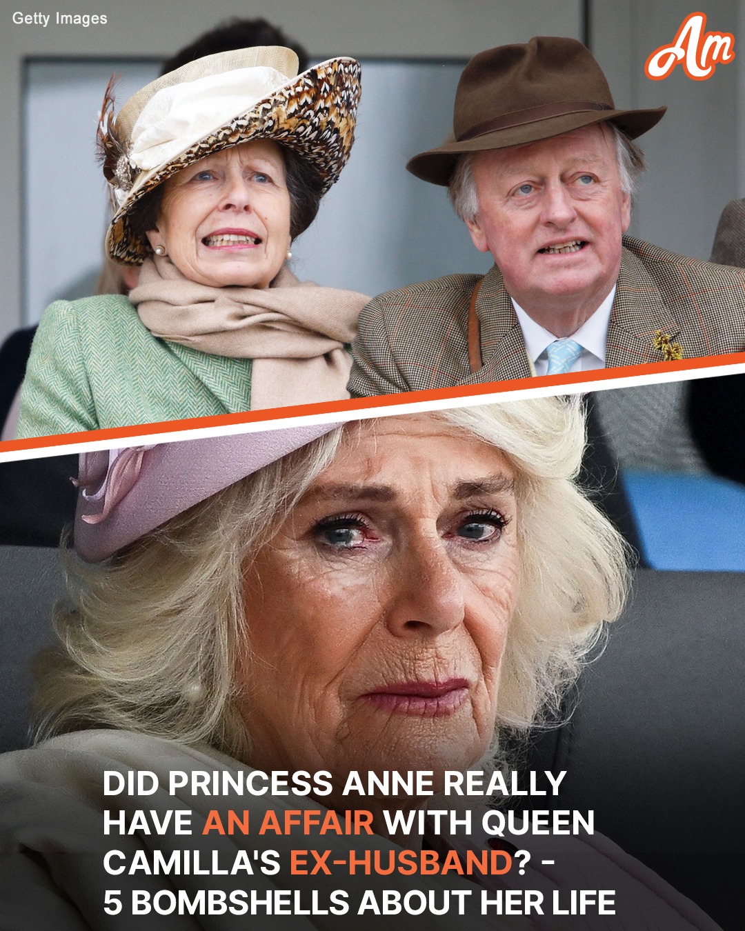 Kidnapping Attempt, Affair with Bodyguard: 5 Things about Princess Anne ...
