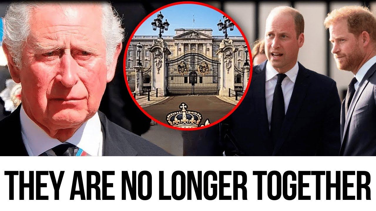 Queen Camilla’s Betrayal Revelations from an Adviser about the Divorce ...