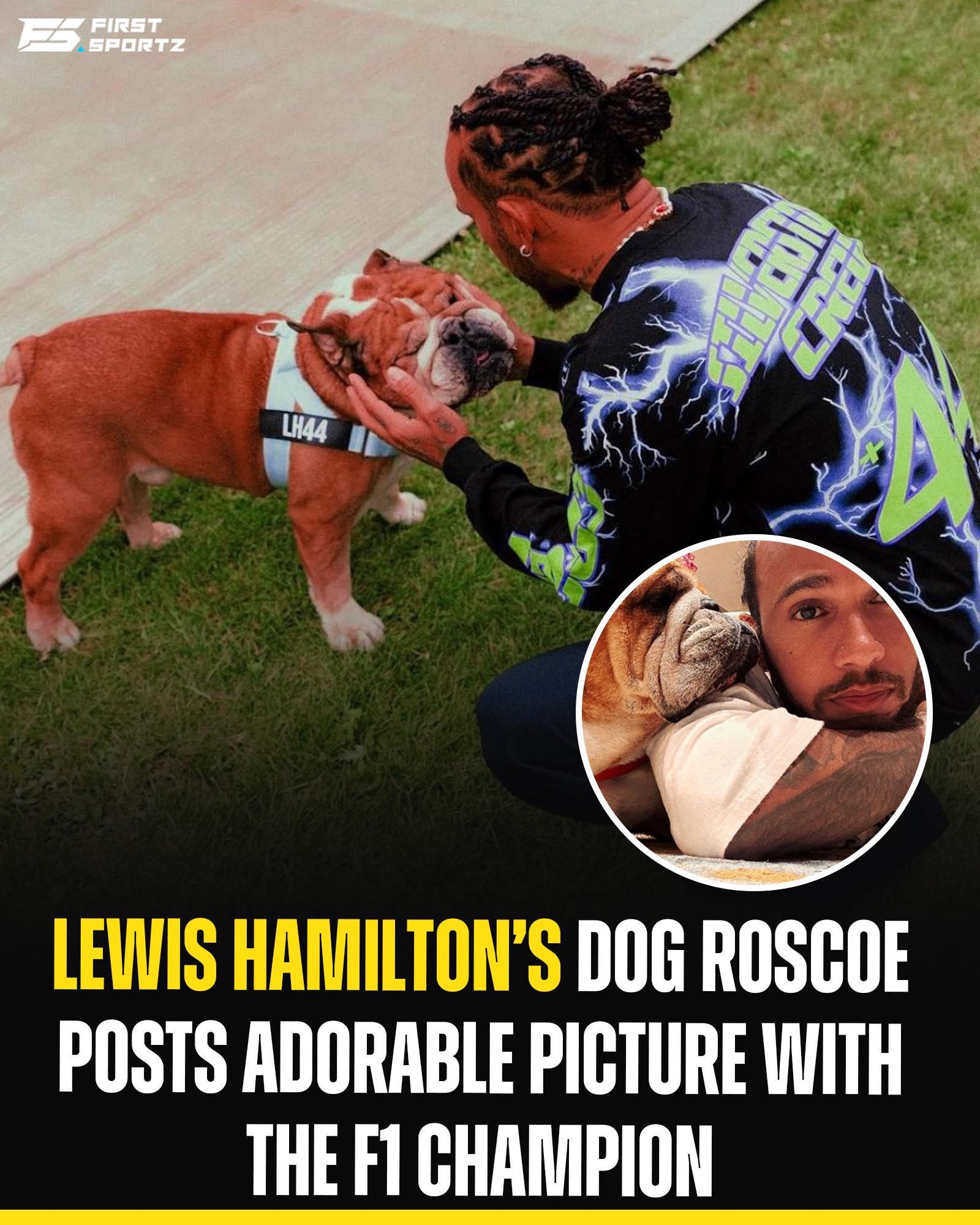 “Day wiff’s Dad,” Lewis Hamilton’s dog Roscoe posts adorable picture ...
