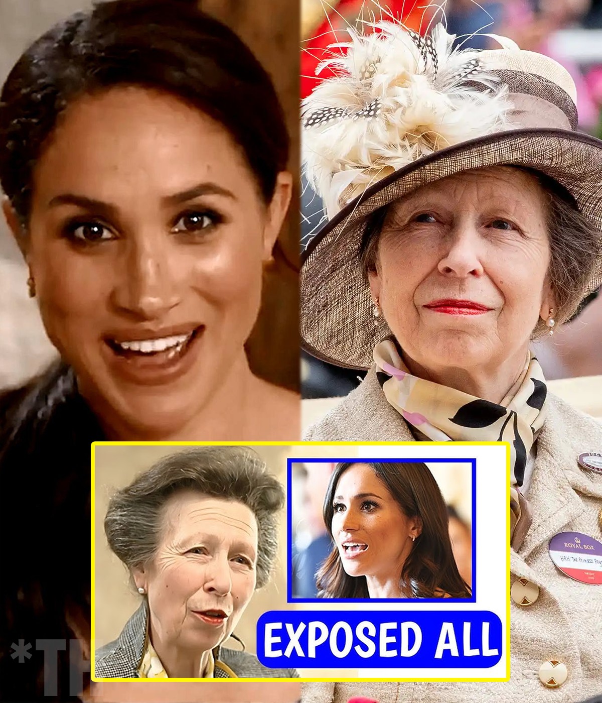 Furious Anne’s BRUTAL CONFESSION EXPOSED ALL: Meghan’s Rotten Face ...