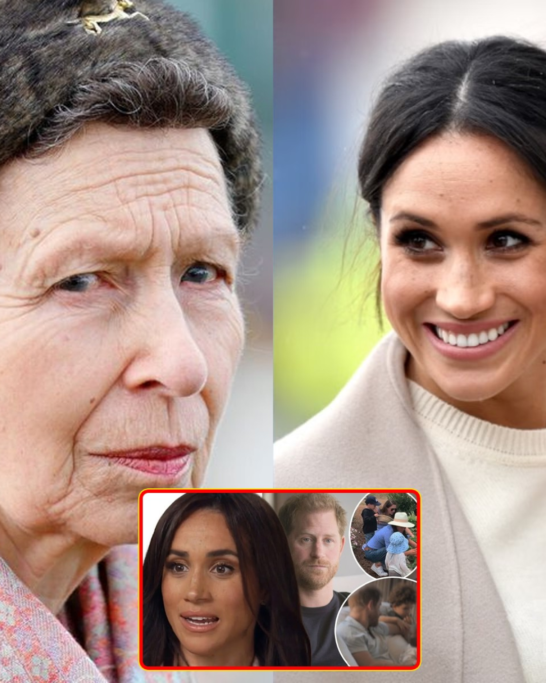 Princess Anne cuts funding and ownership as soon as MI6 releases Arc ...