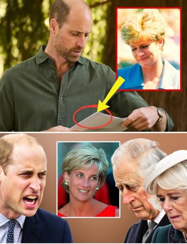 RF. Rare Details from Princess Diana’s Will Emerge After 25 Years