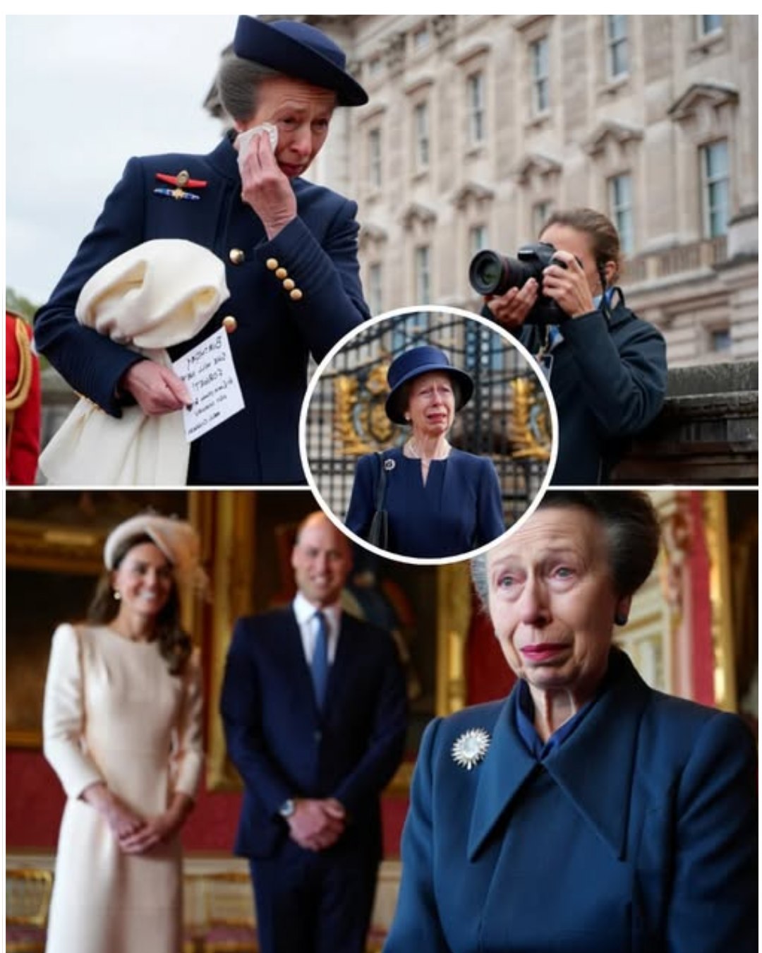 A BIRTHDAY SHE WILL NEVER FORGET! Princess Anne, known for her ...